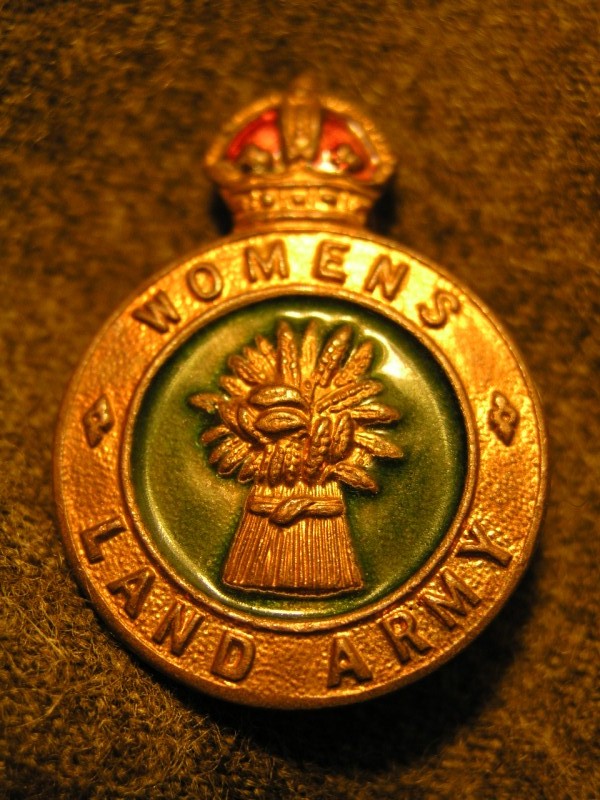 War Department Militaria | Shop